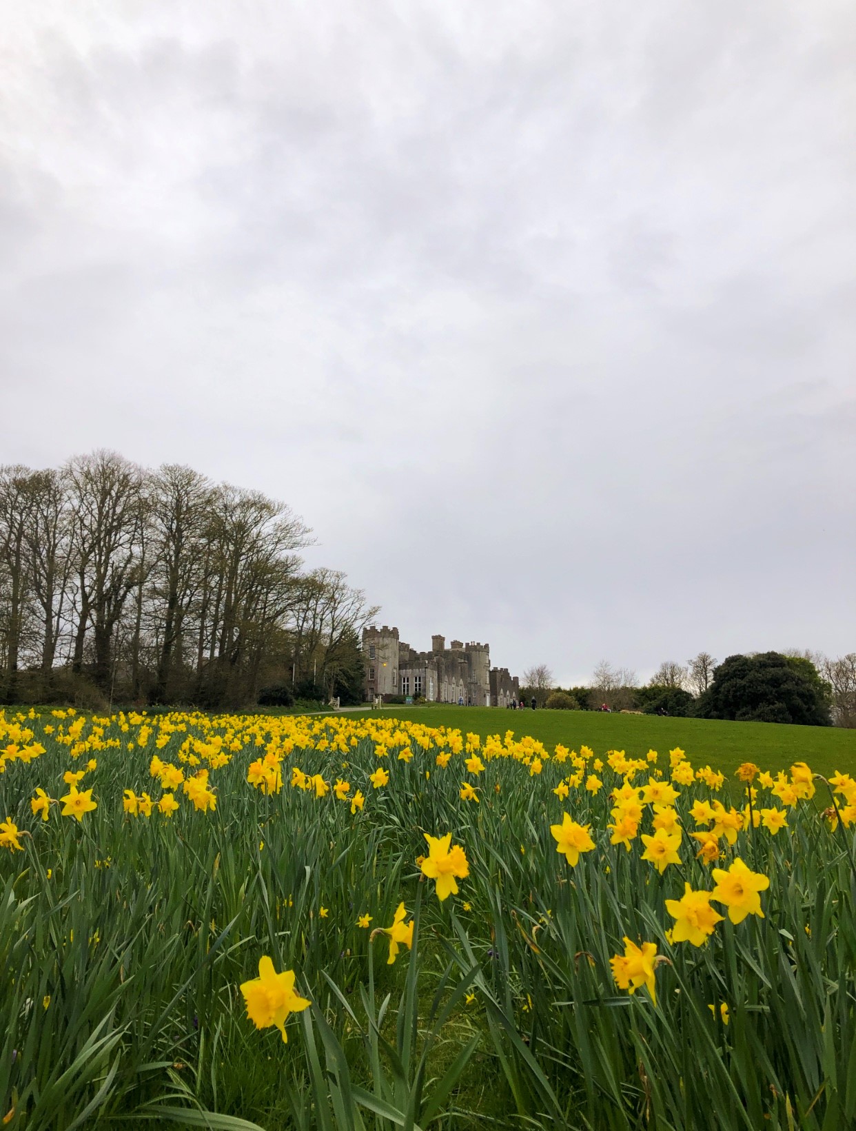 Fingal Heritage and Parks | Fingal County Council