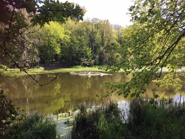 Fingal Heritage and Parks | Fingal County Council