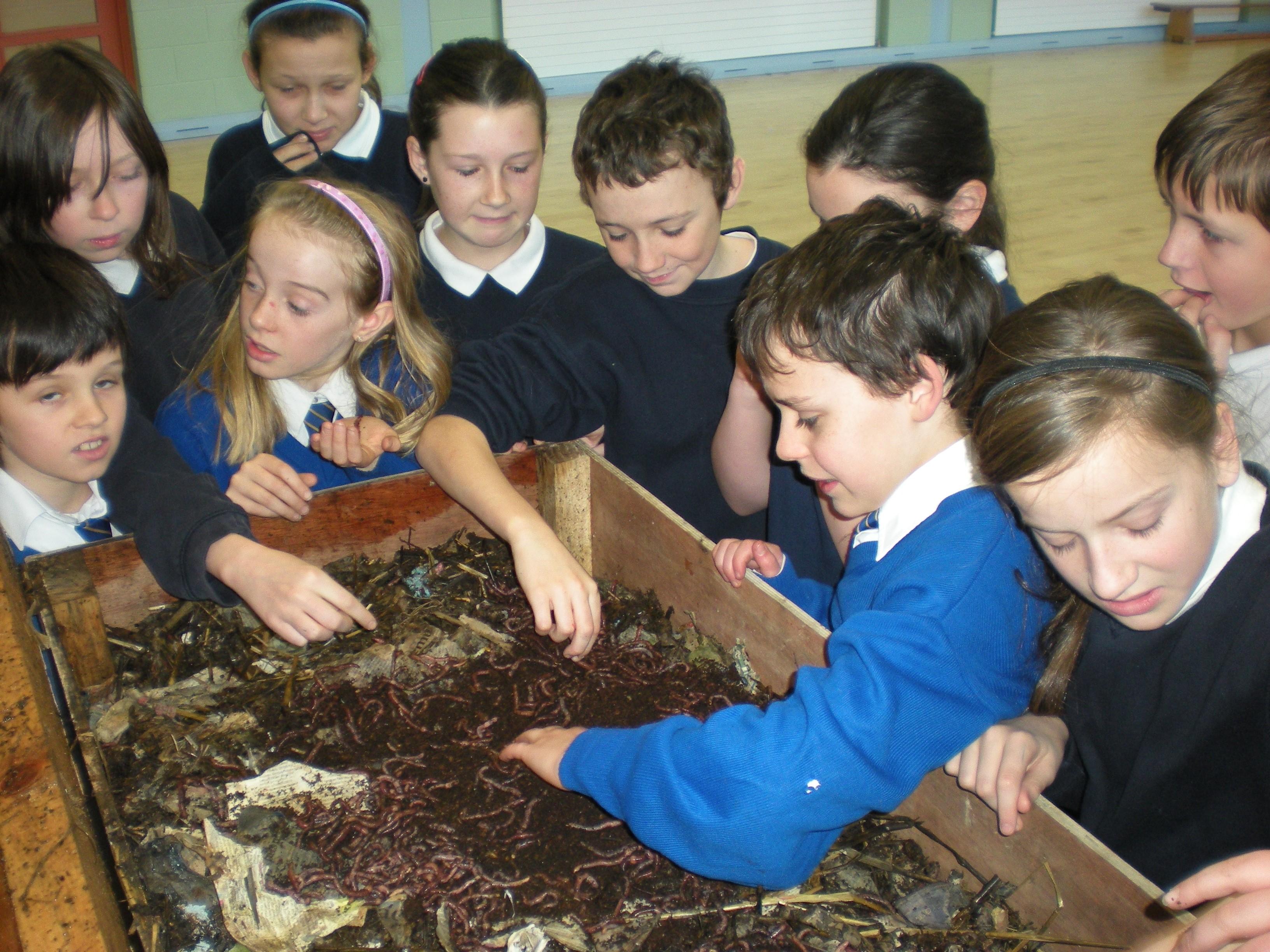 Composting for schools | Fingal County Council