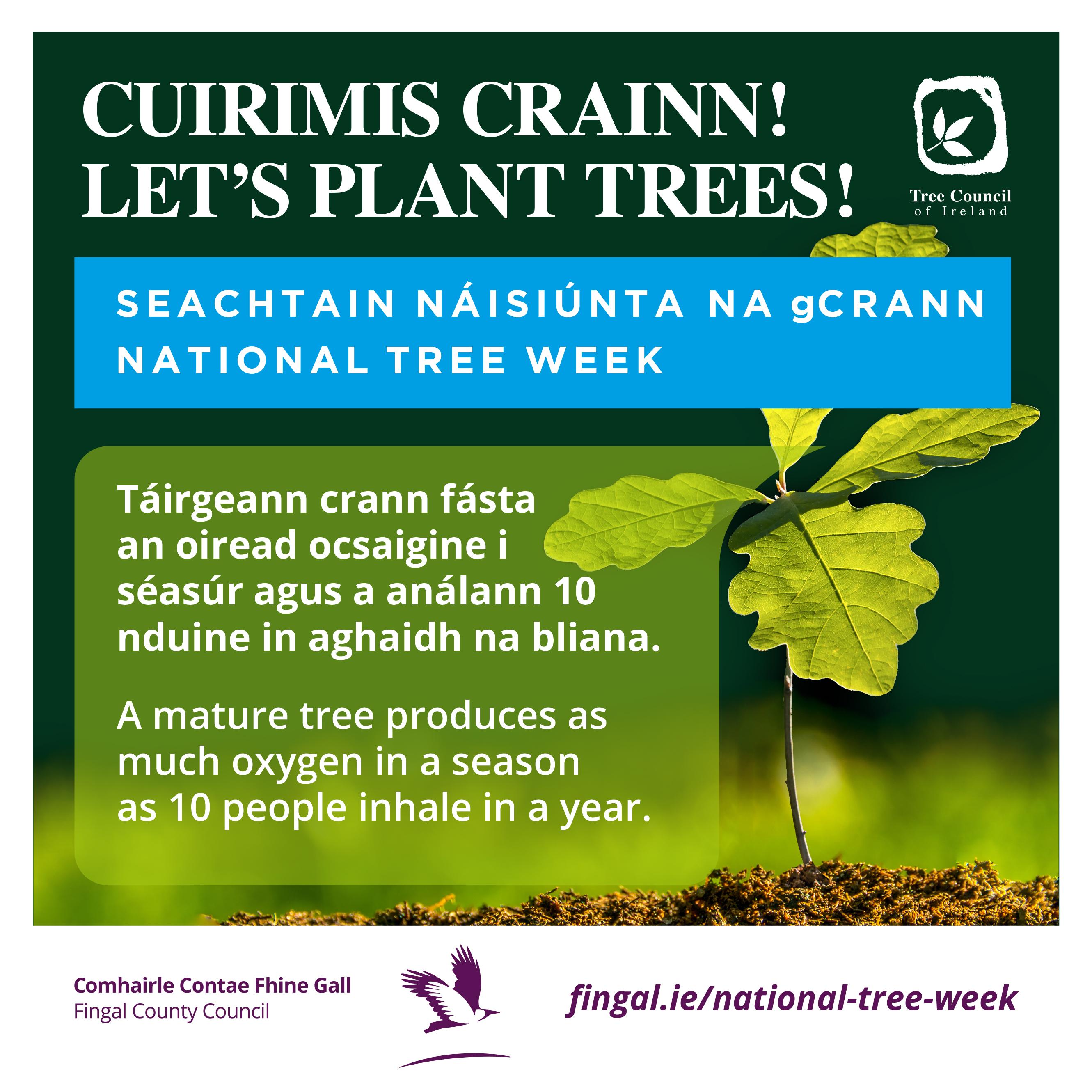 FCC Nat Tree Week Social Media Tile 2A.jpg | Fingal County Council