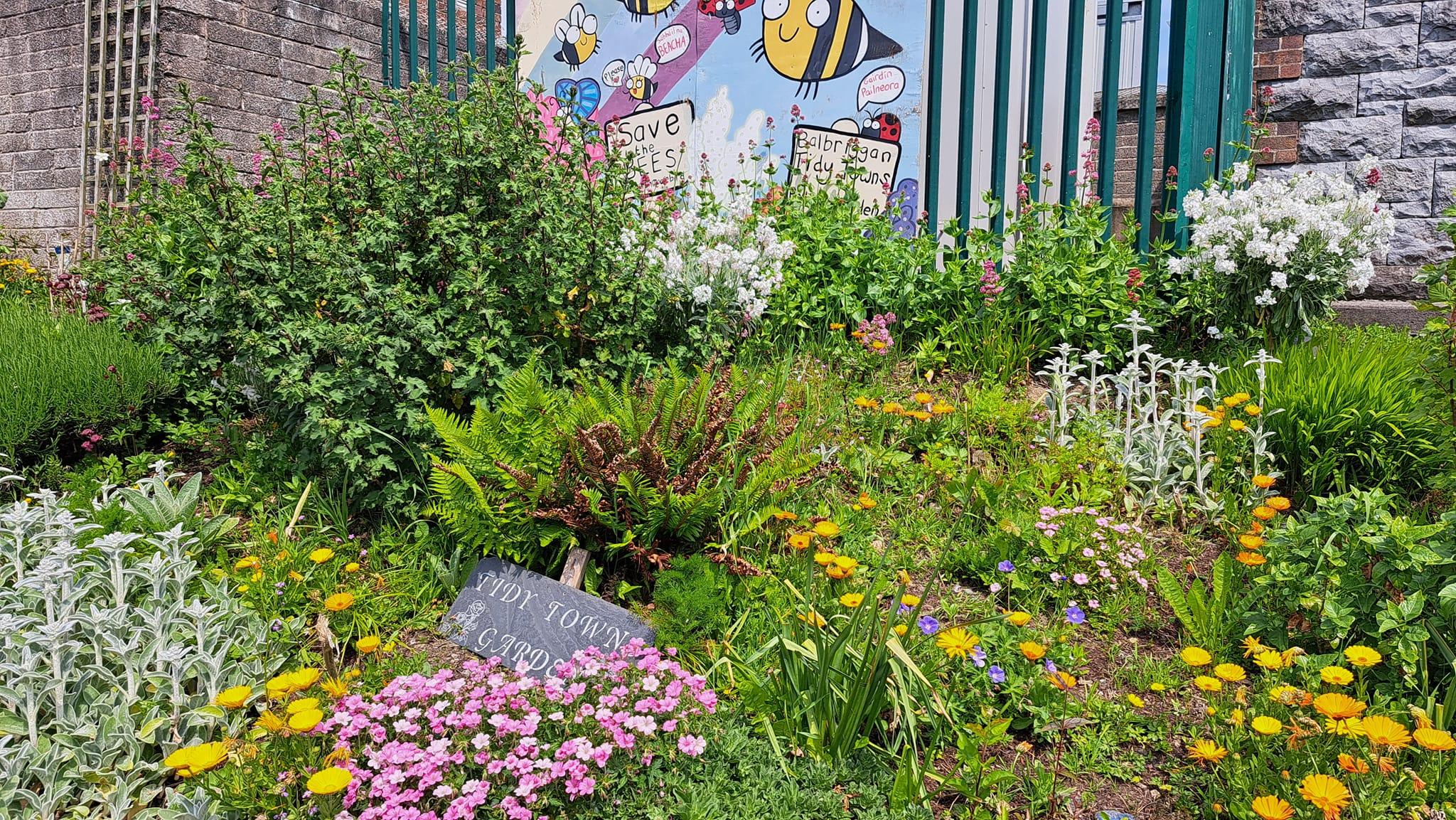 Balbriggan Tidy Towns | Fingal County Council