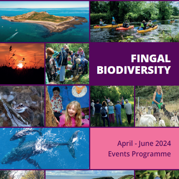 Biodiversity in Fingal | Fingal County Council