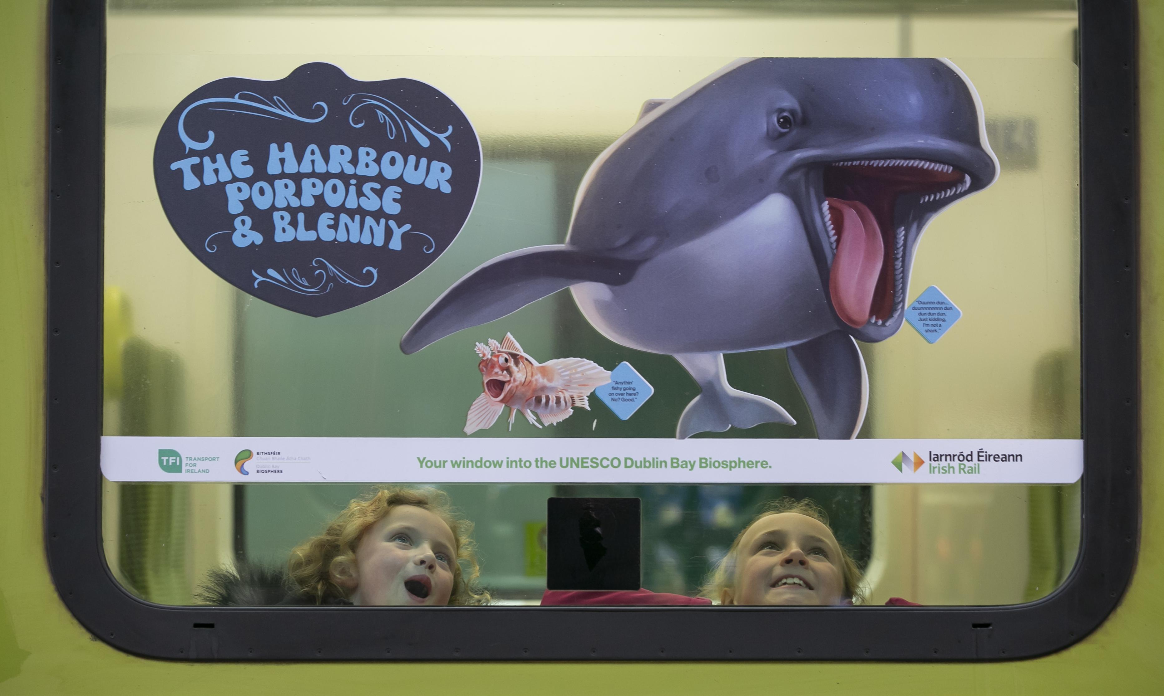 DART customers to share journey with wildlife of Dublin Bay UNESCO ...